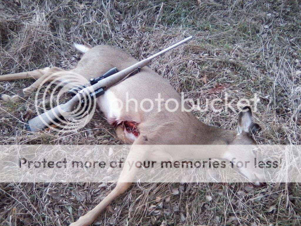 The Official " The Amax isn't a Hunting Bullet" thread - 24hourcampfire