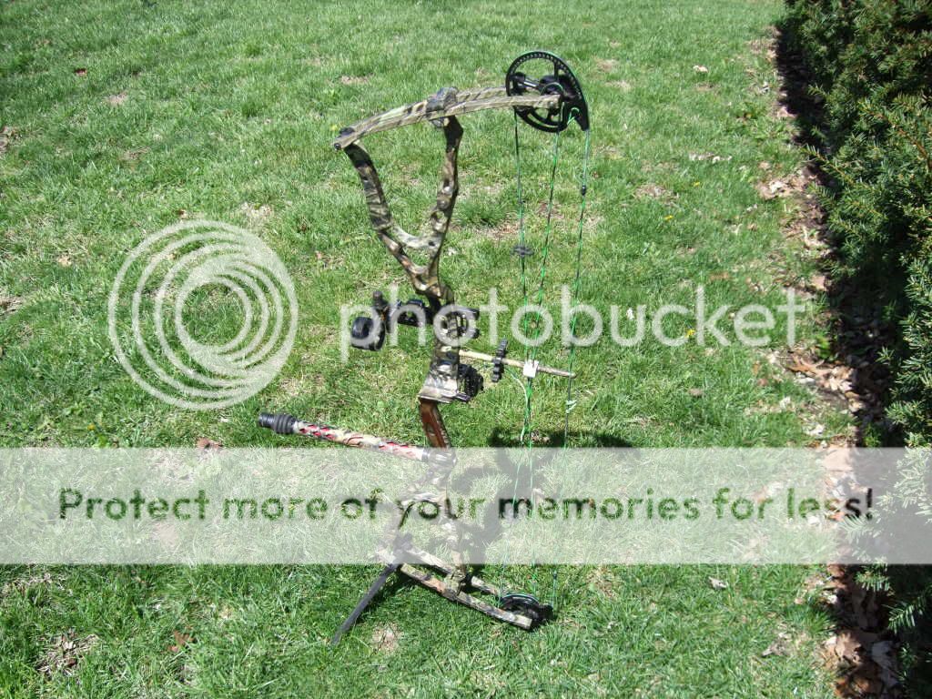 Bowtech commander | Archery Talk Forum